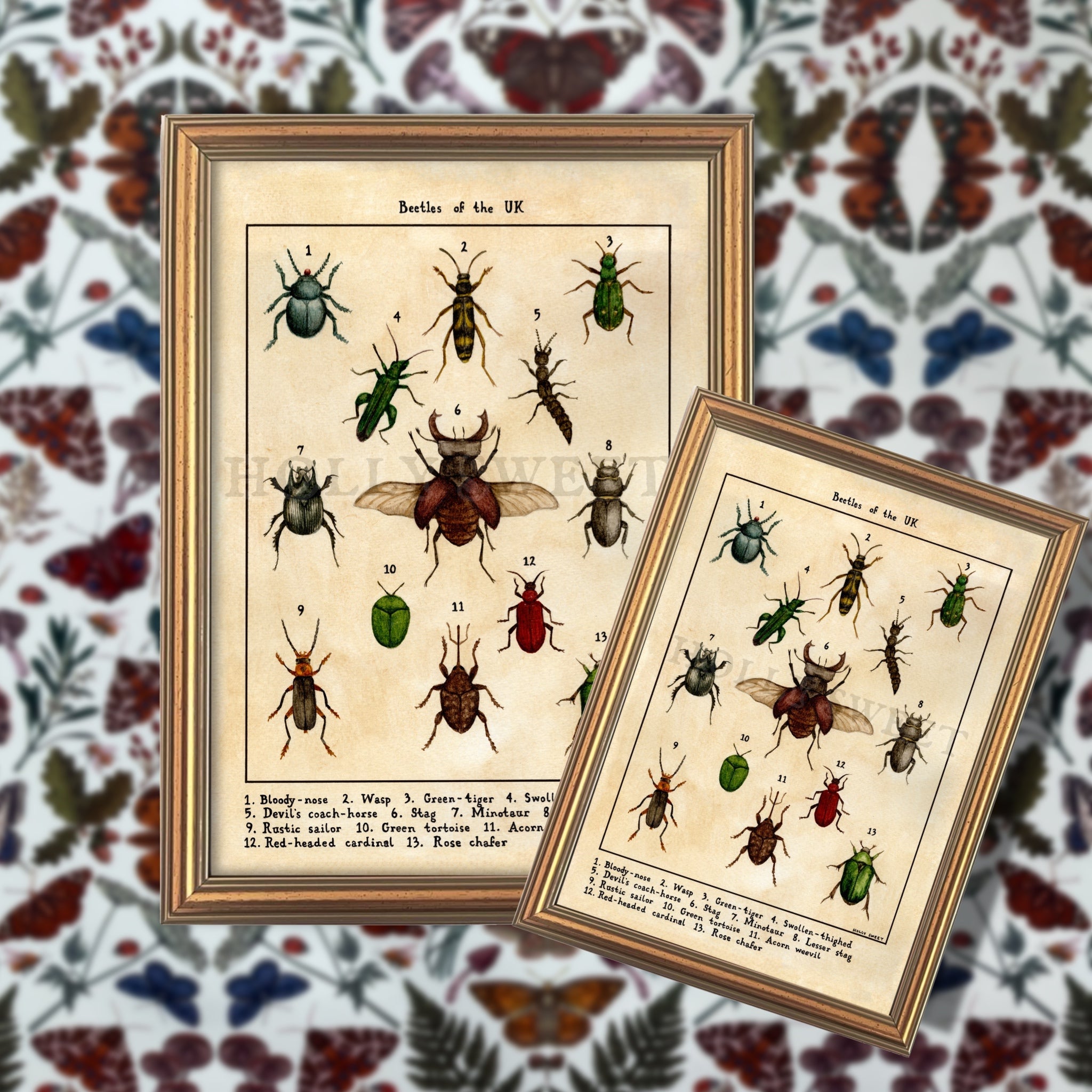 Bug prints – hollyisnotanartist